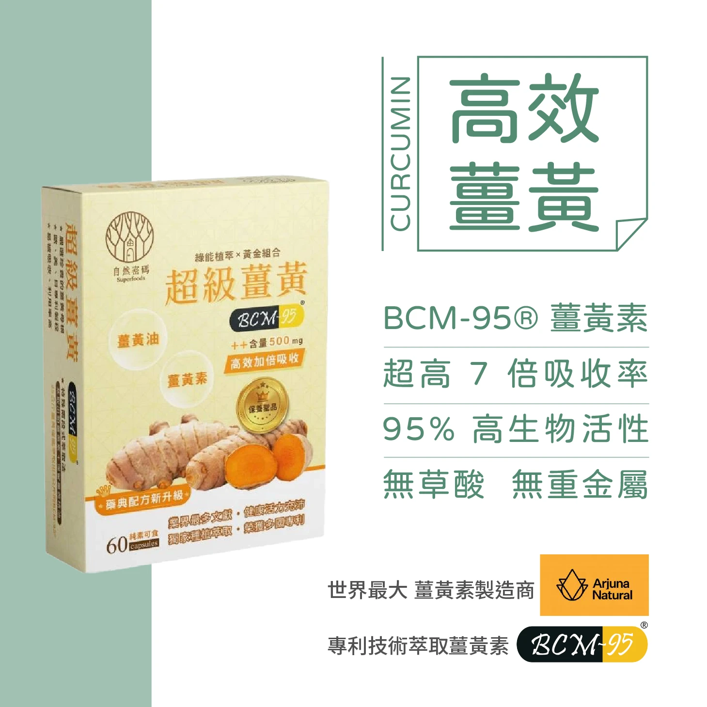 印度 Arjuna｜超級薑黃 BCM-95 精準補給，健康維持，具有科學研究的營養輔助