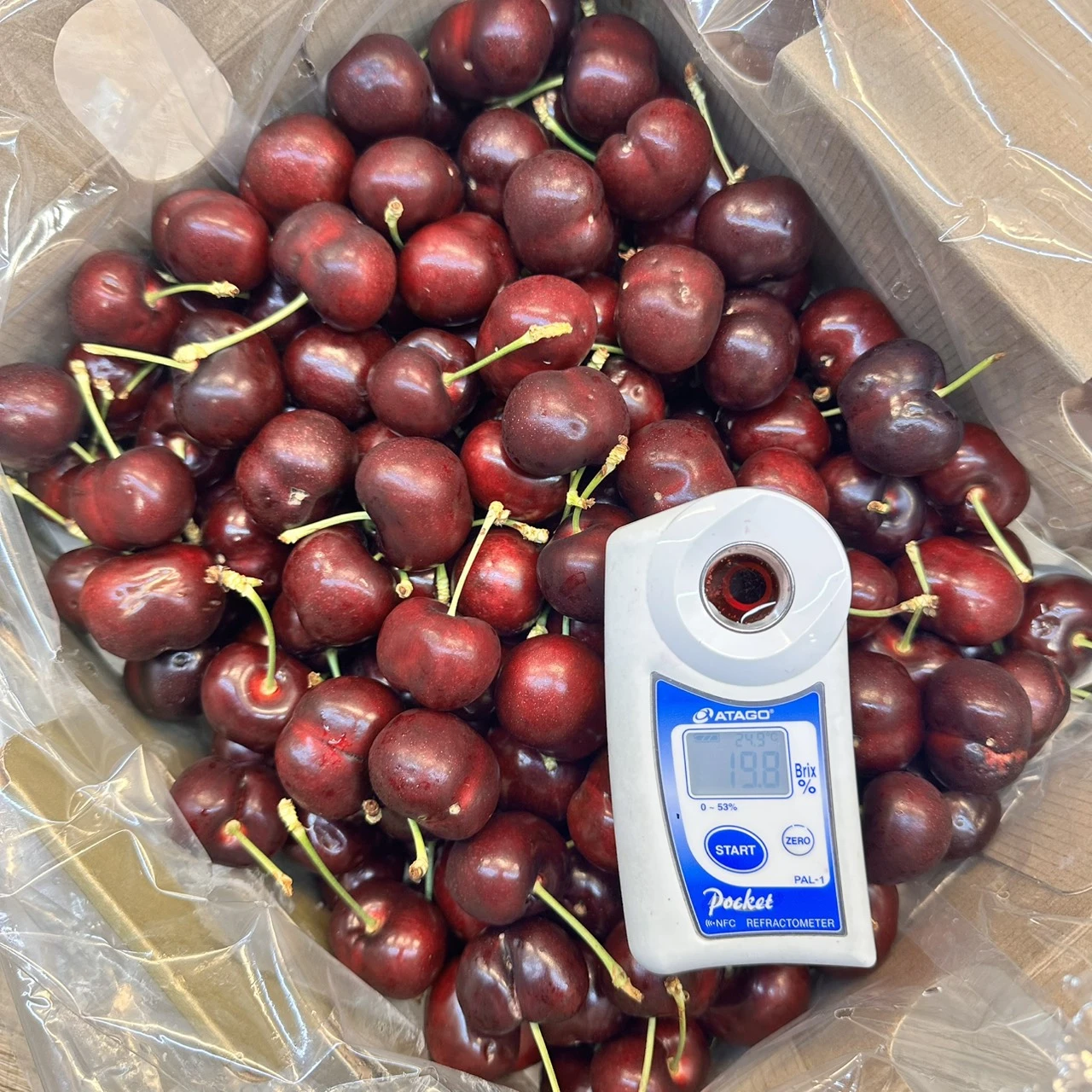 智利空運3JD/4JD黑櫻桃｜Juicy Jewel 就是這 ｜Juicy Jewel 就是這精品水果