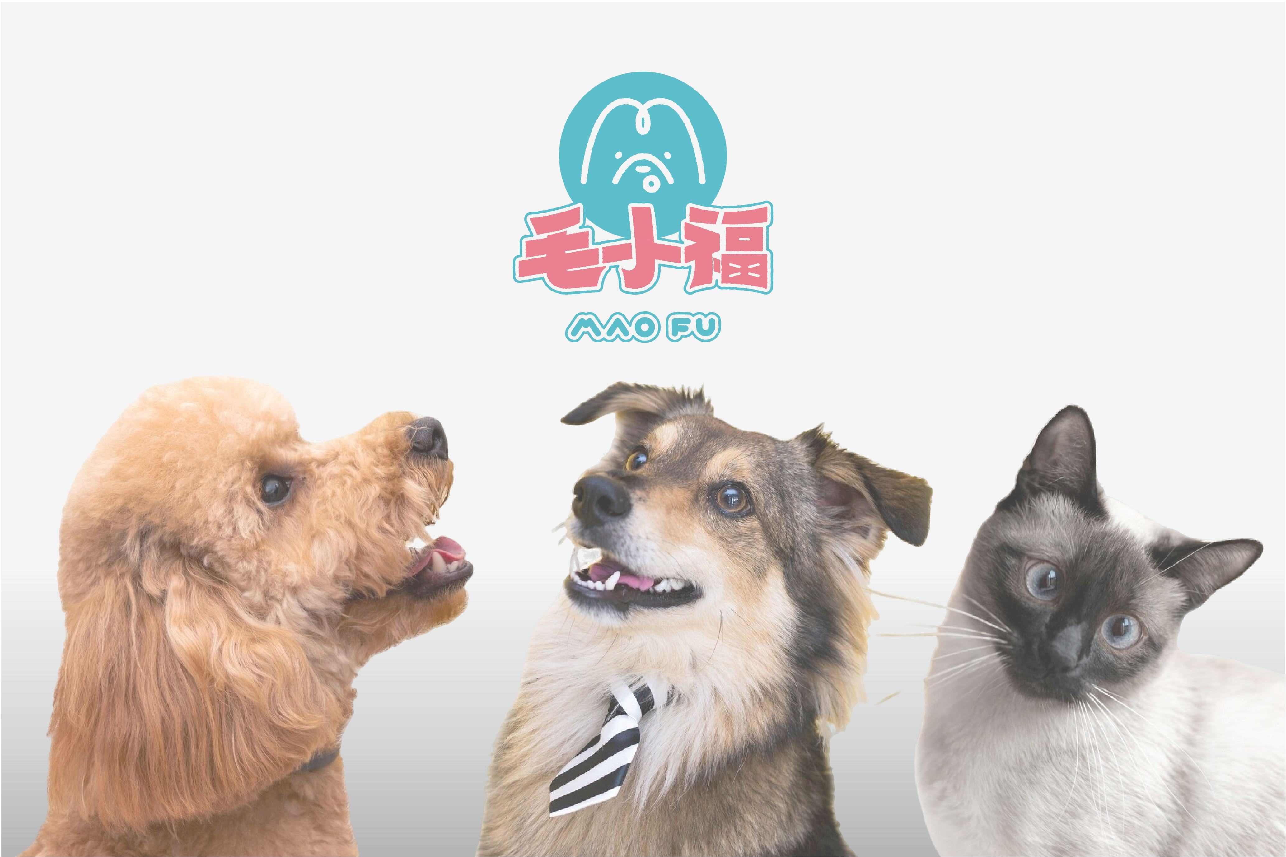 毛小福｜機能！超貓肉乾 天然食材補充營養 毛小福MaoFu 天然貓狗零食