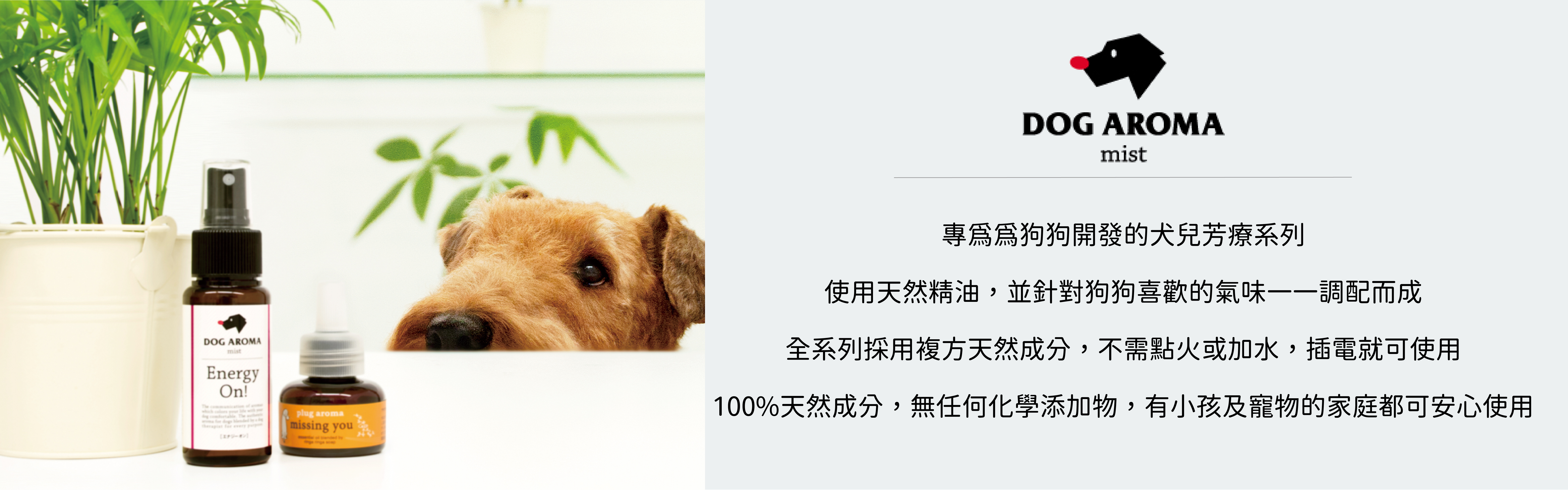 DOG AROMA 芳香精油